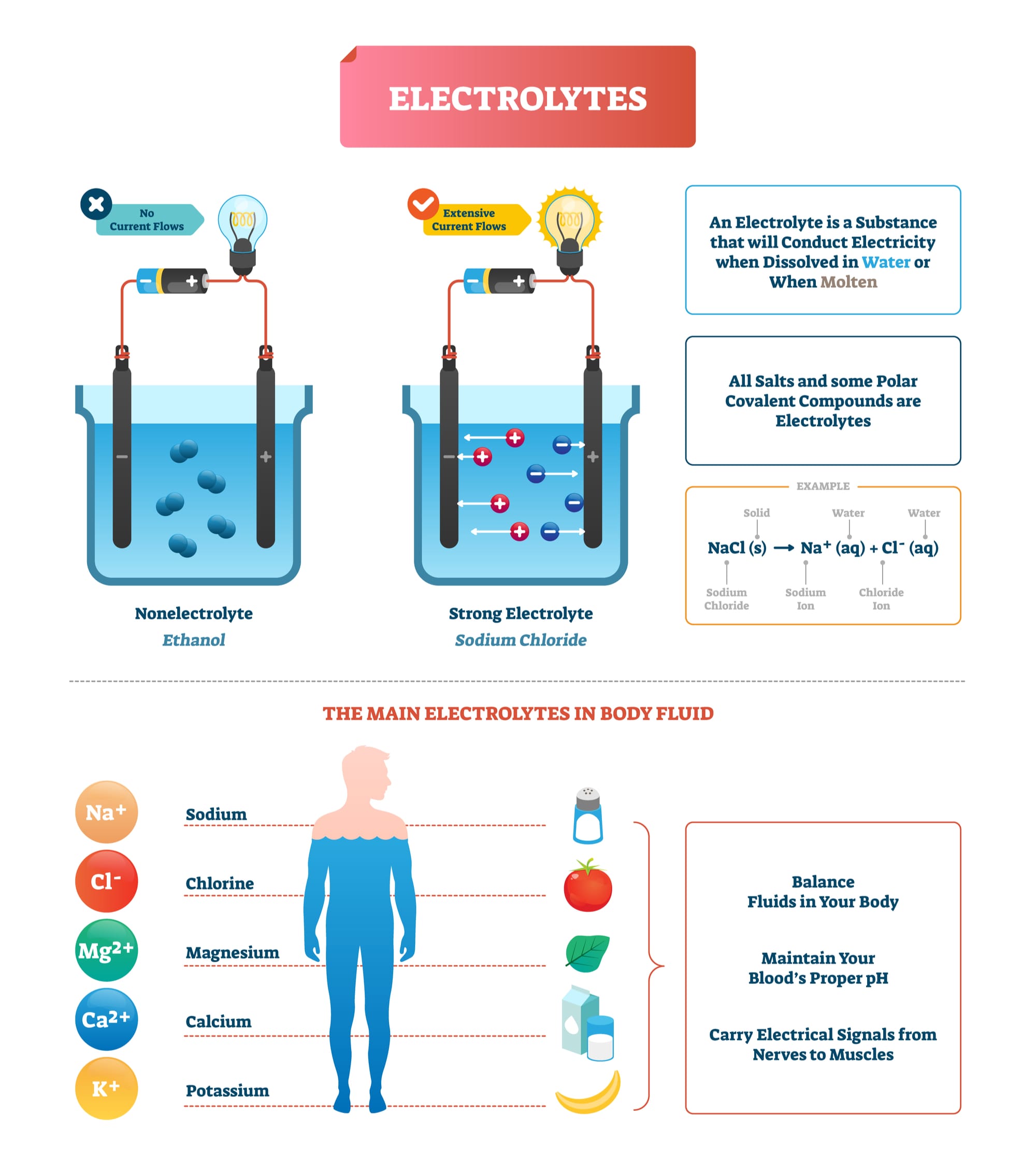 Why Electrolytes Are Important • Bariboost